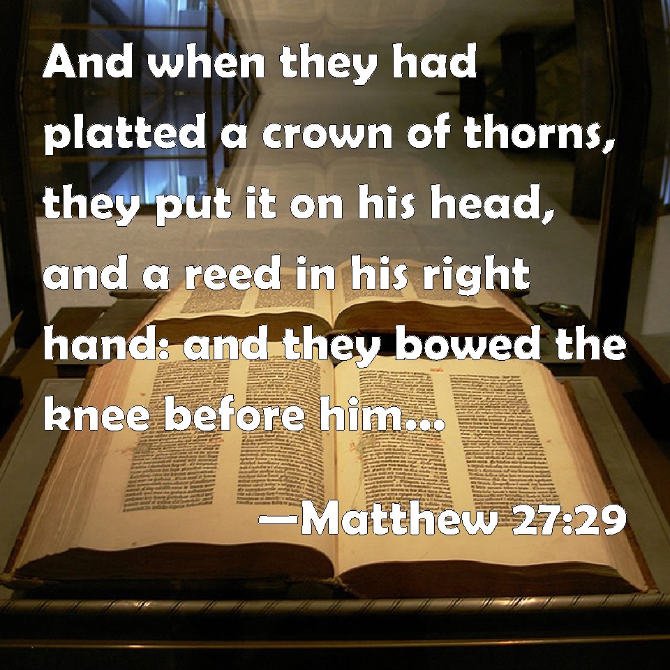 Matthew 27:29 And when they had platted a crown of thorns, they put it ...